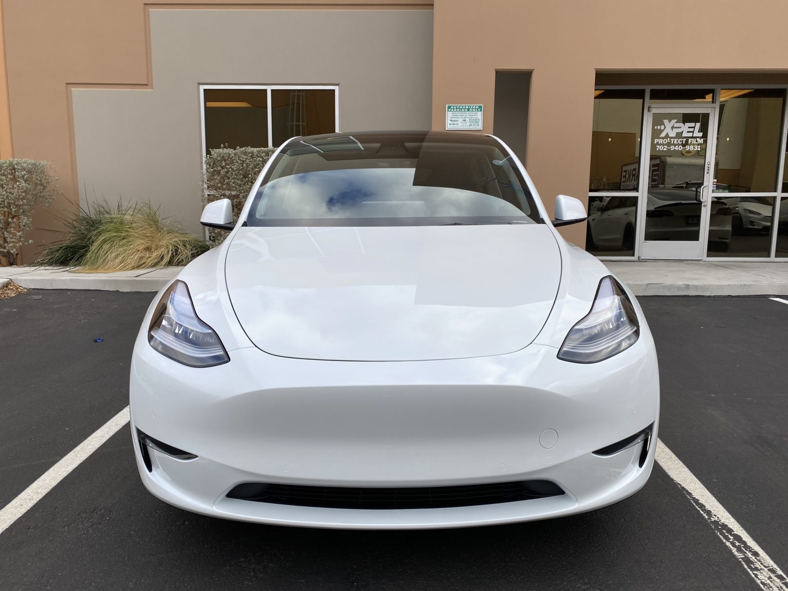XPEL Las Vegas | Blog | Model Y Gets Protected With XPEL