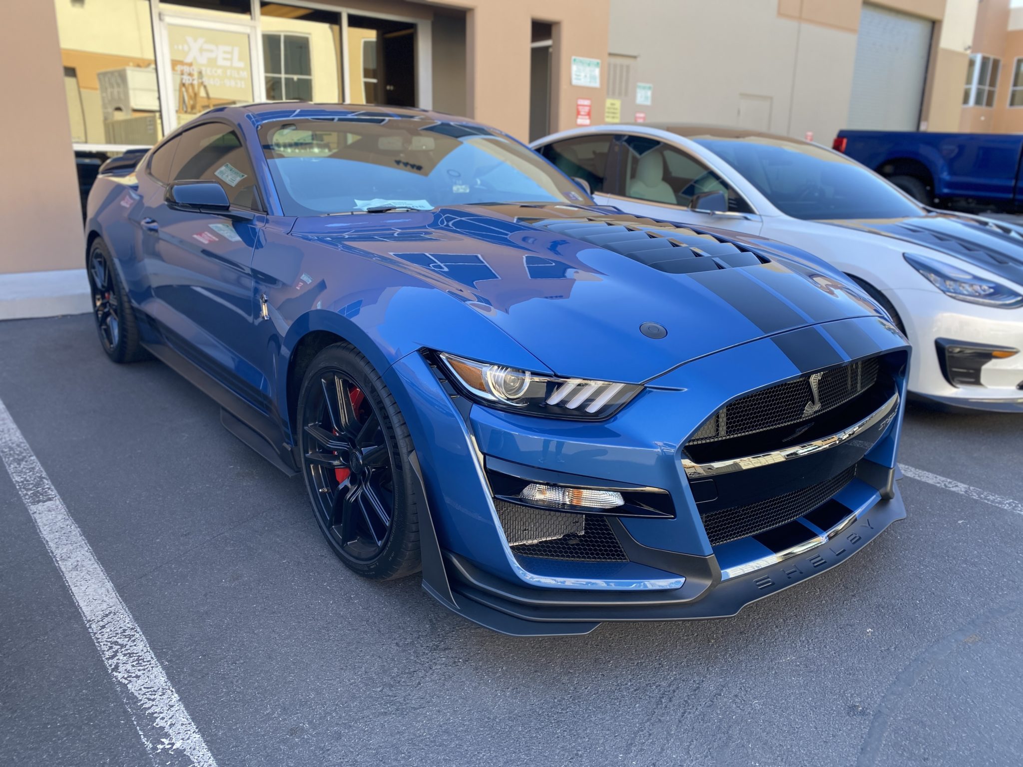 XPEL Las Vegas | Blog | 2020 Shelby GT500 Self-Healing PPF Wrap